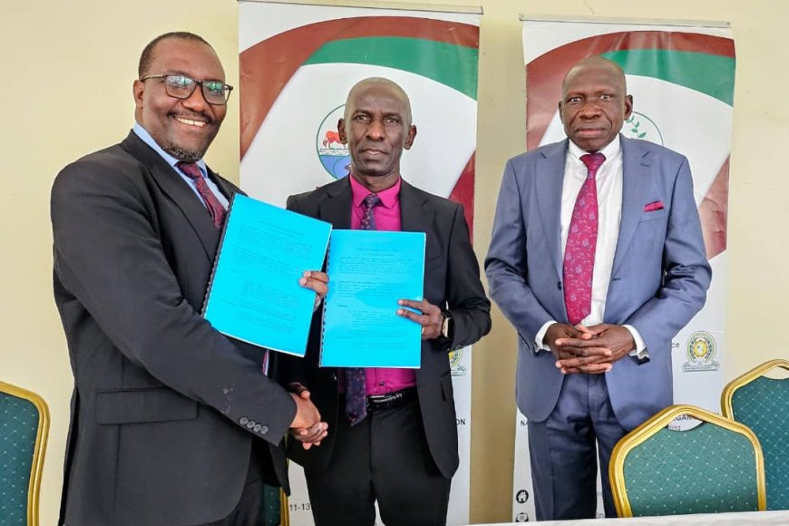 NARO Hands Over 13 Potato Varieties to Seed Companies in Landmark Move ...